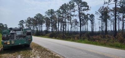 Fire that burned 270 acres in Croatan National Forest intentionally set ...