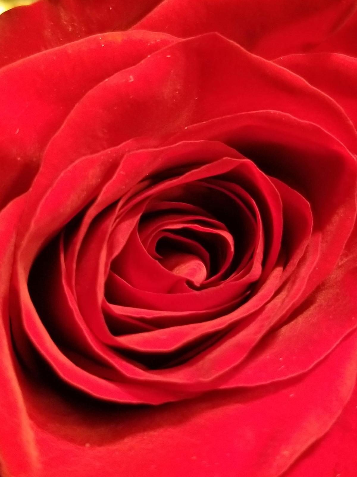 Chapter president’s work chosen for international society’s gallery ...