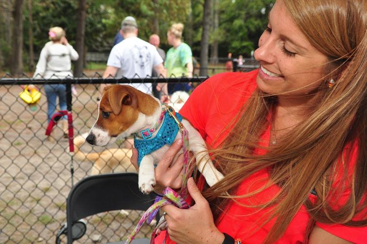 Barktoberfest brings canine fun to Rotary Dog Park | News ...