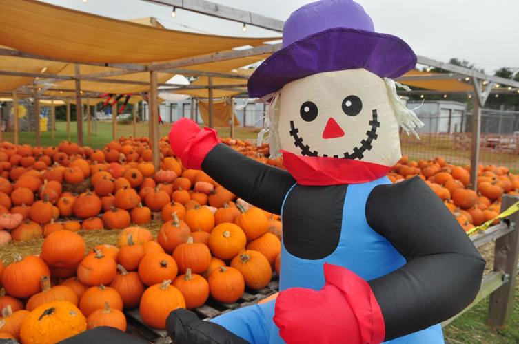 Hannah's Hope Pumpkin Patch supports good cause | News | carolinacoastonline.com