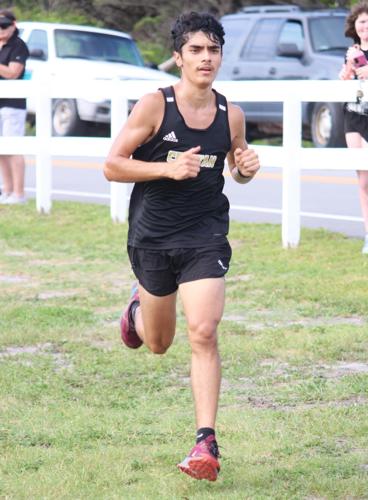 Cougars sweep three-team cross country conference meet over Swansboro ...