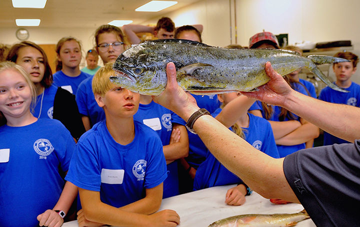 Marine Science Academy | Photo Galleries | carolinacoastonline.com