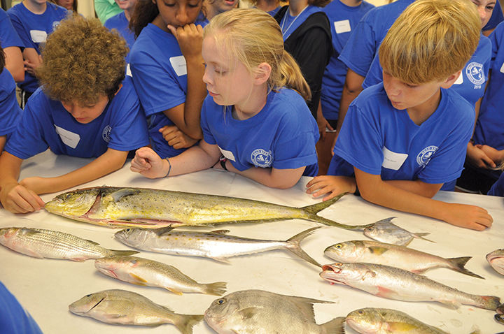 Marine Science Academy | Photo Galleries | carolinacoastonline.com