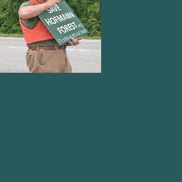 Citizens rally to save Hofmann Forest | News | carolinacoastonline.com