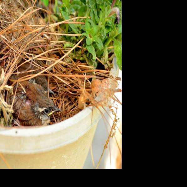 NOAA phases out paper nautical charts | News | carolinacoastonline.com