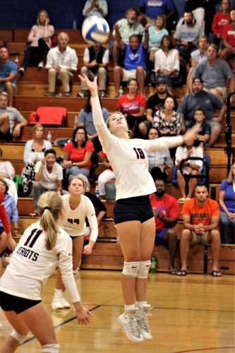 West spikers overcome first-set loss in 3-1 win over Dixon: now 8-2 ...