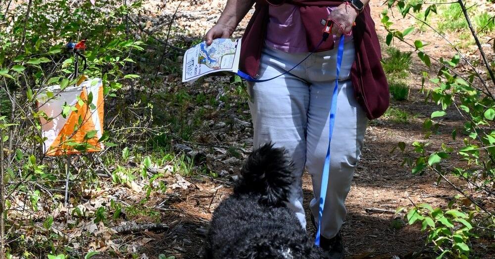 Go Orienteering at Fort Rock in Exeter | Community | carriagetownenews.com