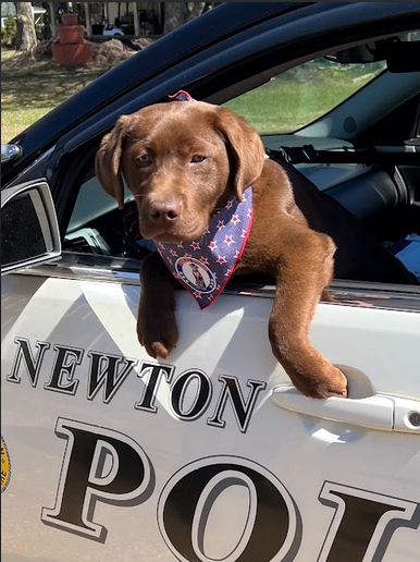 Comfort Dog Joins Newton Police | Local News | carriagetownenews.com