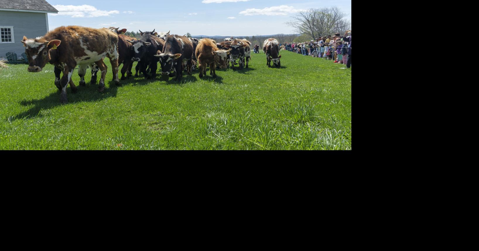 Upcoming Events in Merrimack Valley Region on NH Heritage Museum Trail ...