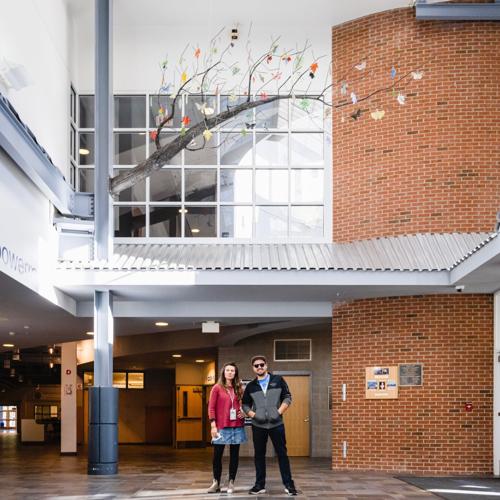 'Diversi-tree' at Sanborn Regional High School | School News ...