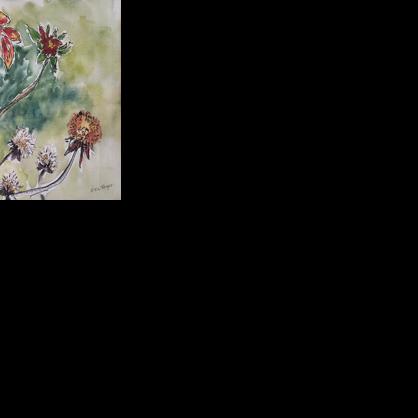 'Autumn Splendor' Theme Show Winners | Lifestyles | carriagetownenews.com