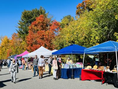 Successful Fall Fair in Atkinson | Gallery | carriagetownenews.com