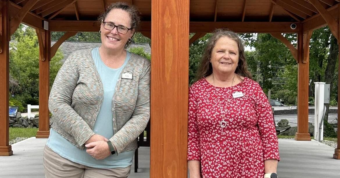 Hampstead Public Library Change of Directors | Libraries ...