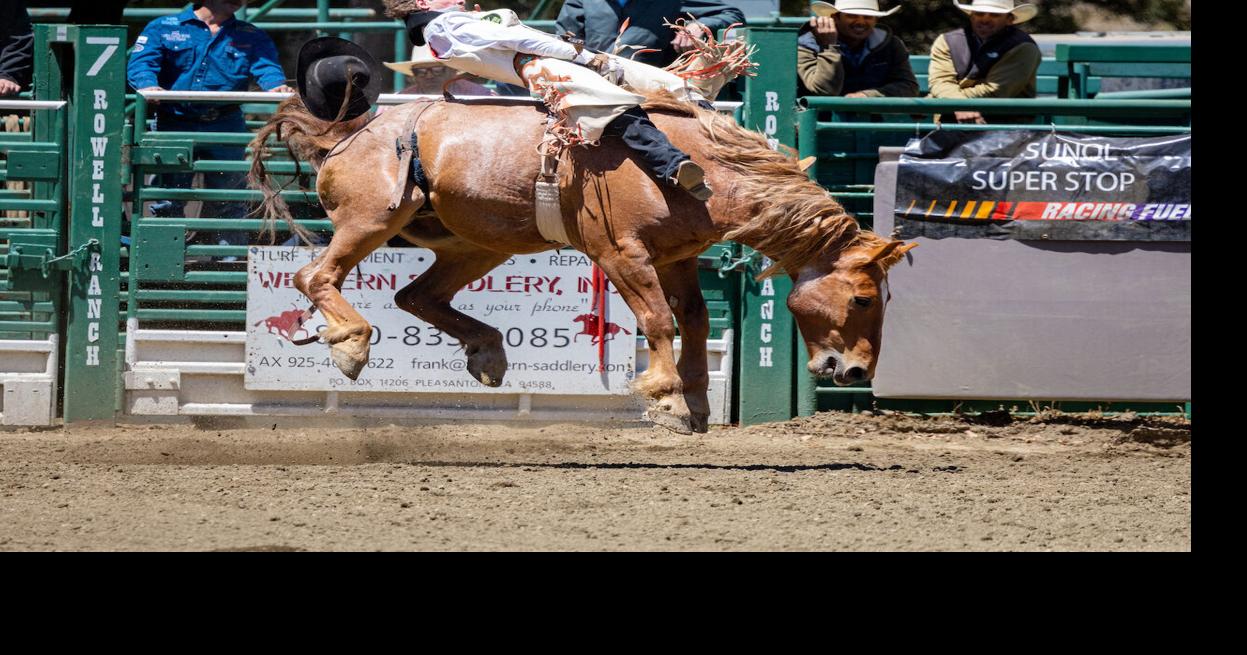 Howdy Partner! Rowell Rodeo Fun Returns | News | castrovalleyforum.com
