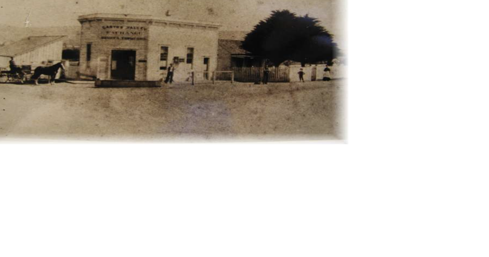 Growing Up in Castro Valley - The Castro Valley Exchange | Community ...