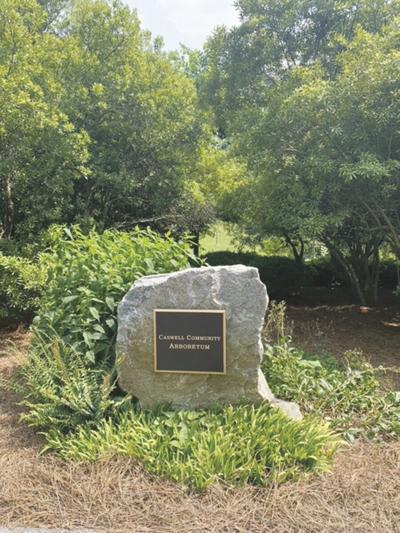 Caswell County arboretum provides delightful trip down memory lane ...