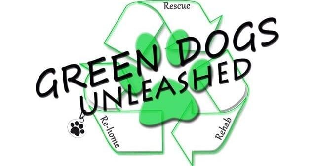 Green Dogs Unleashed helps veterans with PTSD | News | cbs19news.com