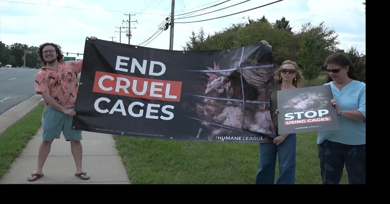 The Humane League protests outside of BJ's Restaurant and Brewhouse ...
