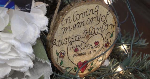 Mother sets up memorial tree for son lost to overdose | News ...