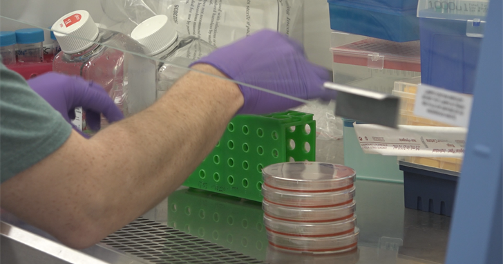 UVA women in STEM making big discoveries in the lab | | cbs19news.com