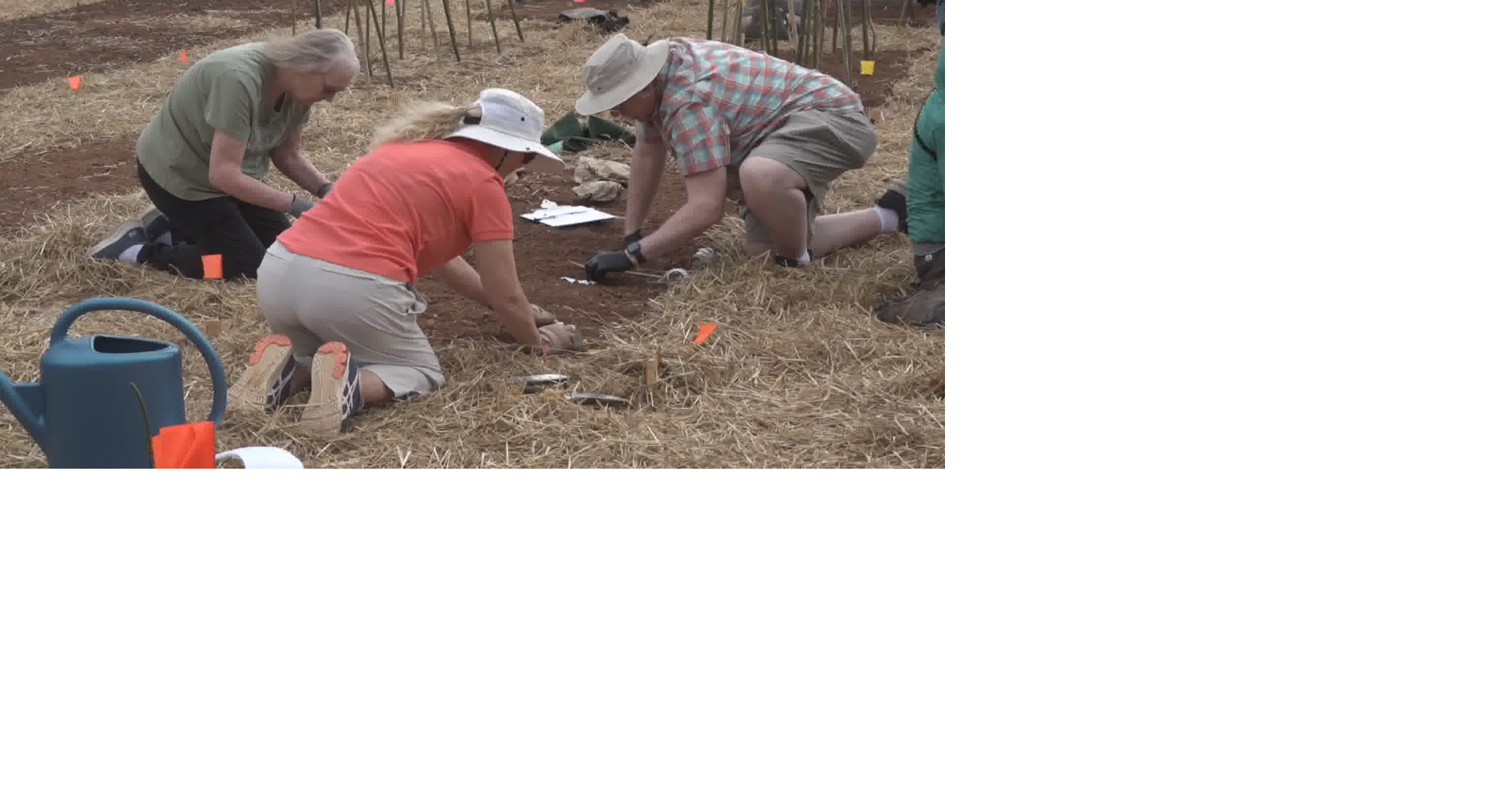 Charlottesville Parks and Recreation explains community garden plots ...