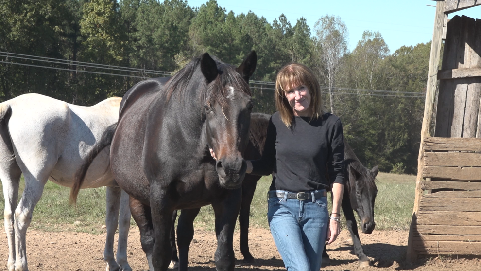 A look inside a horse retirement farm | News | cbs19news.com