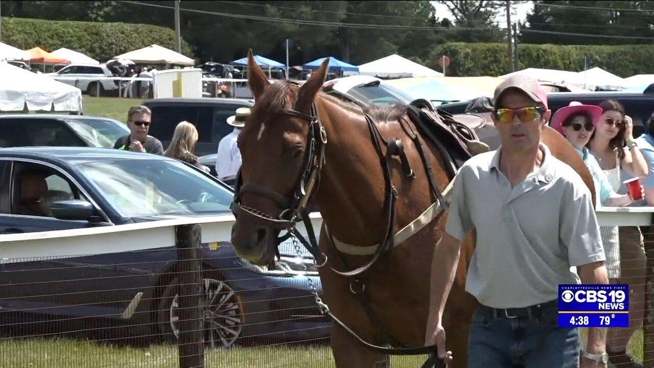 Record number of horses registered for Foxfield Fall Races | News ...