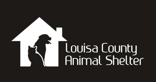 Louisa animal shelter asks for help | News | cbs19news.com