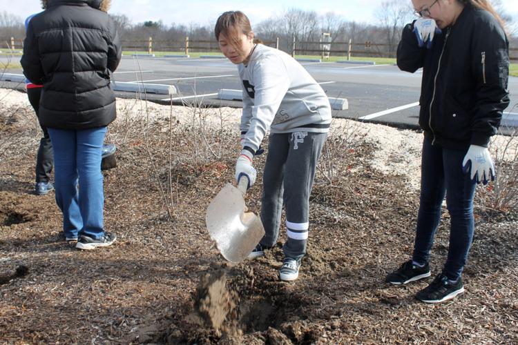 Volunteers tackle Calvert Regional Park planting project | Local News ...