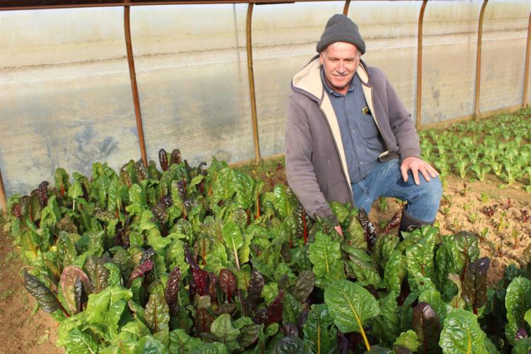 Yes Virginia, you can eat healthy during the holidays | Local News ...