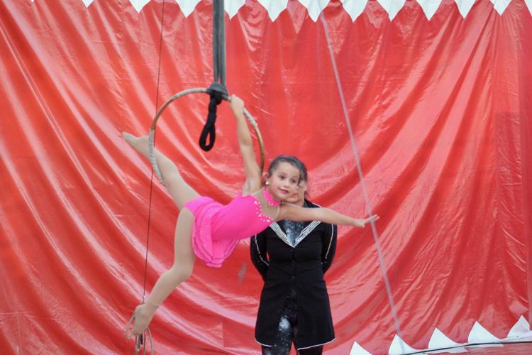 Victoria shines as new star in Victoria Circus | Cecil County Fair ...