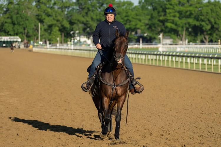 Cherie DeVaux returns to familiar Saratoga for the Belmont after her ...