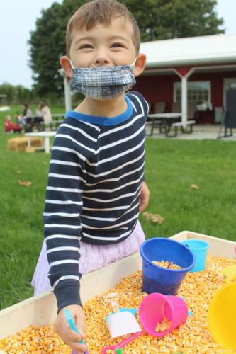 Kilby Cream Corn Maze is 5 acres of fun | Business | cecildaily.com