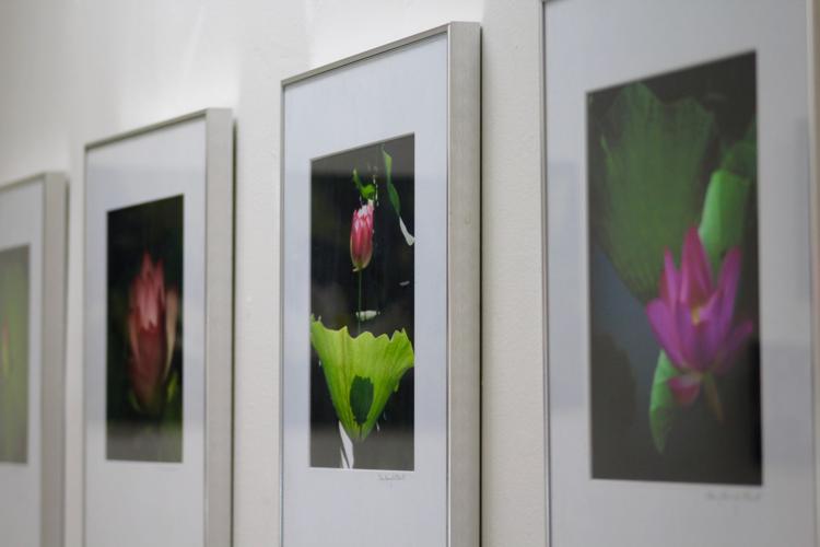 Kavanagh sisters install kindred art at Elkton gallery | Spotlight ...