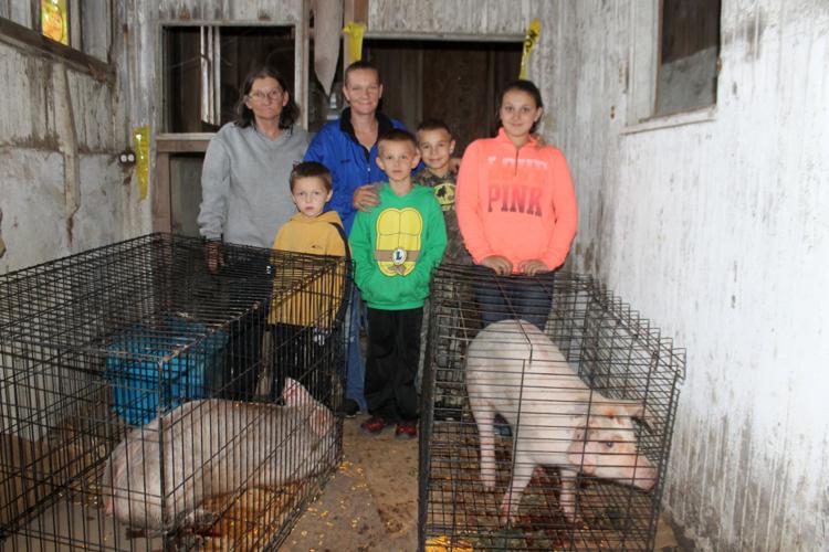NEVFC rescues 300-pound pigs from North East-area well | Police and ...