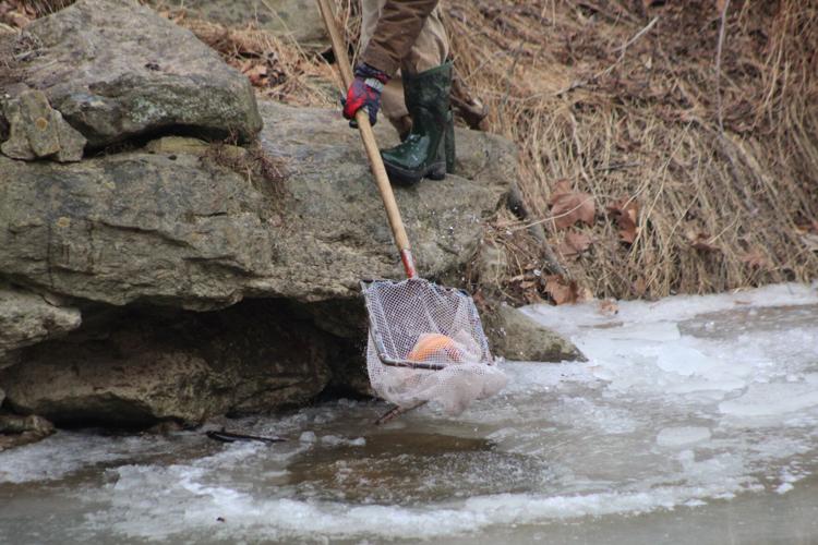 Natural Resources officials stock Big Elk Creek, Howard's Pond with ...