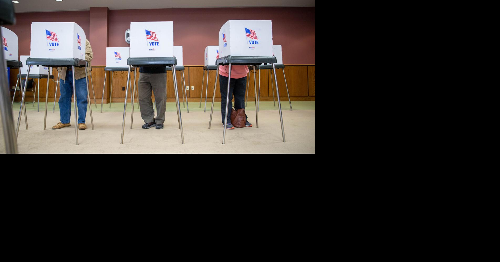 Candidate slate set for county executive, council races | Elections ...