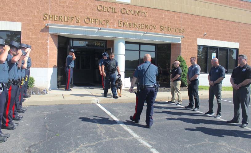 Police motorcade escorting ashes of K9 Kilo serves as public tribute ...