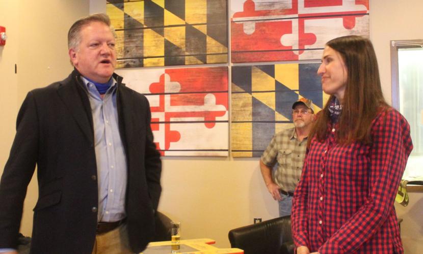 Republican Danielle Hornberger wins county executive seat | Local News ...