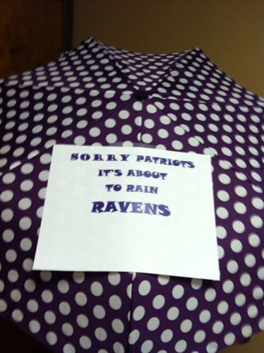 Ravens fever | News Gallery | cecildaily.com