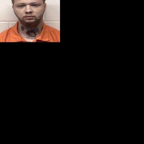 Jury finds man guilty in Elkton drug-and-gun case | News | cecildaily.com