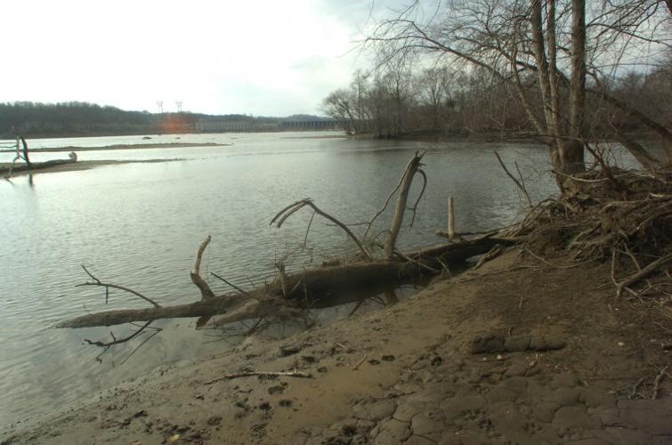 Exelon applies for Conowingo relicensing | News | cecildaily.com