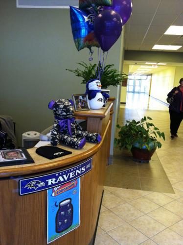 Ravens fever | News Gallery | cecildaily.com