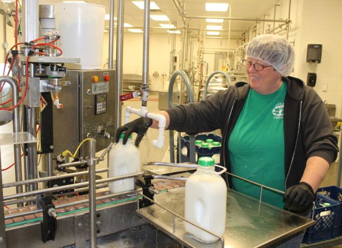 On the job: Milk processing manager | Business | cecildaily.com