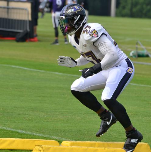 2016 Baltimore Ravens Training Camp | Sports Gallery | cecildaily.com