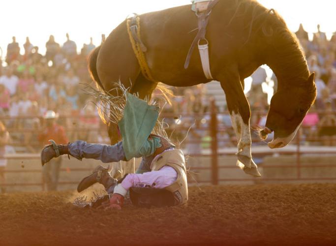 Painted Pony Rodeo bucks up storm again | Local News | cecildaily.com