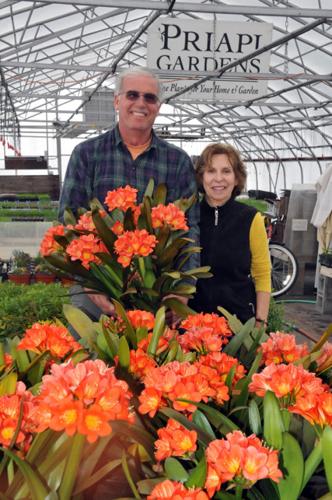 Priapis recognized as ‘Farmers of the Year’ | Local News | cecildaily.com