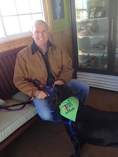 Rescued puppy mill dog earns therapy certification | Local News ...