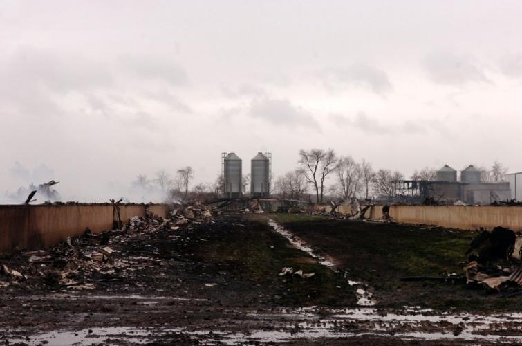 Huge fire devastates Warwick egg farm, kills 300,000+ hens (with video ...