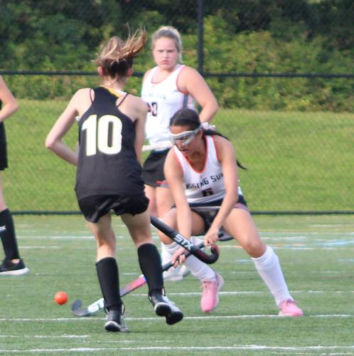 Harford Tech Cobras defeat Rising Sun Tigers 6-1 | Sports | cecildaily.com